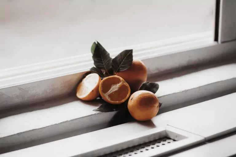 Bitter Orange for Skin -- Calming for Oily Skin | Annmarie Skin Care