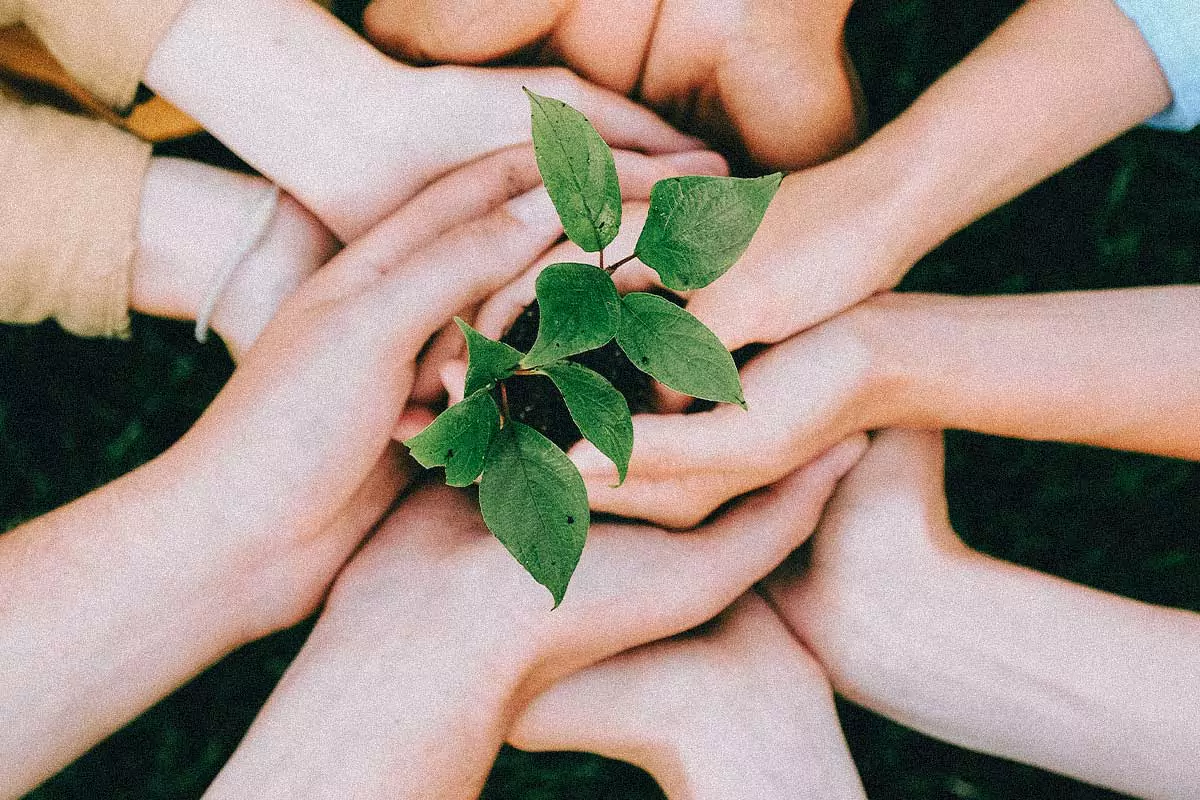 Our Promise: Community Development