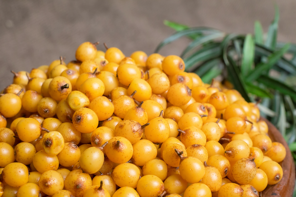 Sea Buckthorn Berries, the Superfood for Your Face