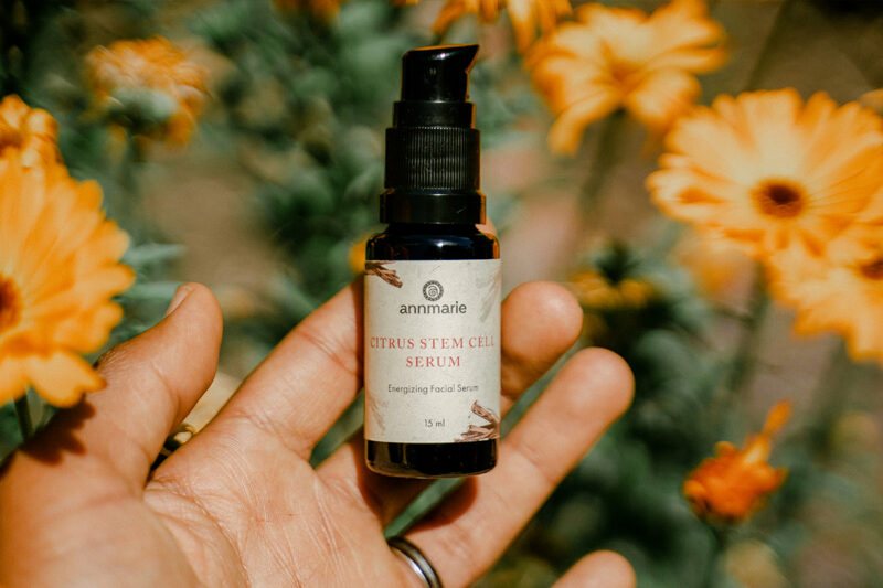 Everything You Need To Know About Stem Cells In Skin Care Product ...