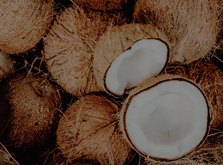 Coconut Ferment Filtrate: The Future of Sustainable, Anti-Aging Skincare