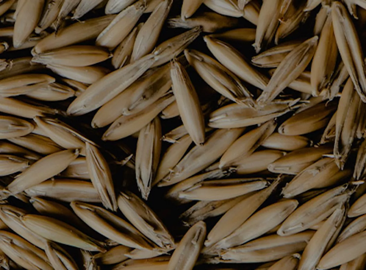 Discover the Benefits of Oat Kernel Extract in Skincare